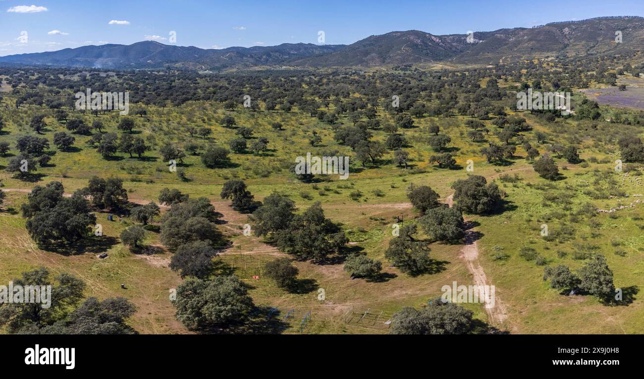 Arucci Turobriga, 1st century Hispano-Roman city, Aroche,Huelva ...