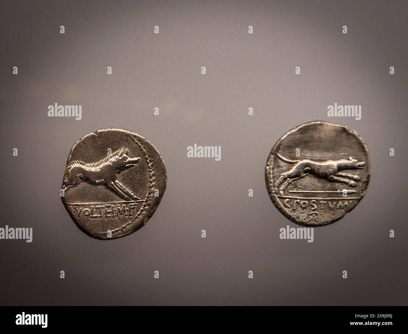 coins from the Iberian period representing the Erymanthian wild boar ...