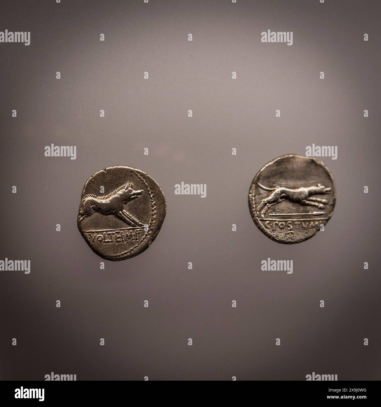 coins from the Iberian period representing the Erymanthian wild boar ...