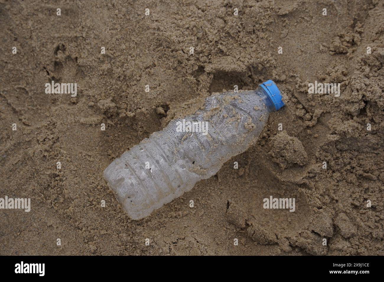 Plastic trashes on the beautiful sandy beach. Plastic bottle on the sea ...