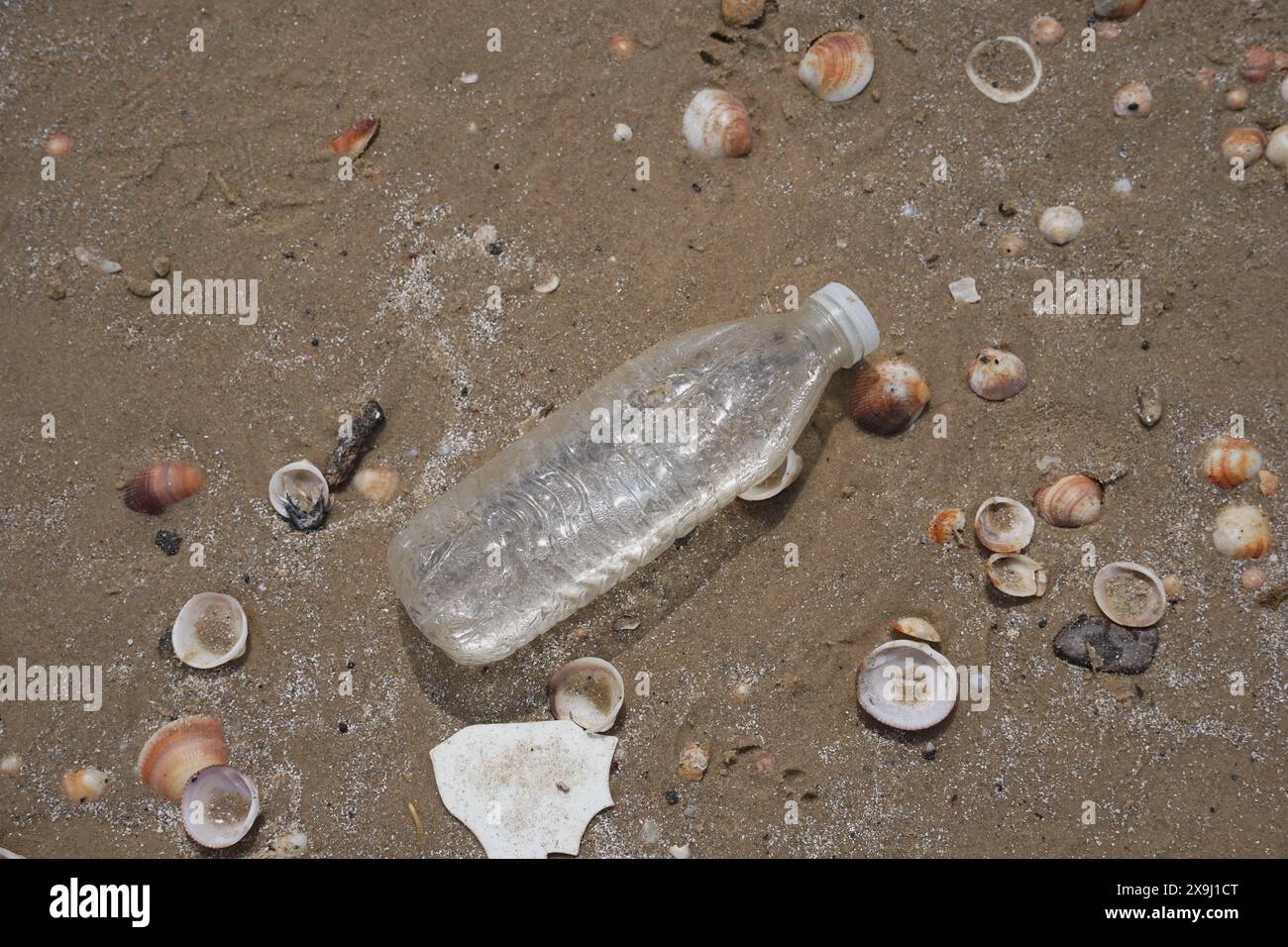 Plastic trashes on the beautiful sandy beach. Plastic bottle on the sea ...