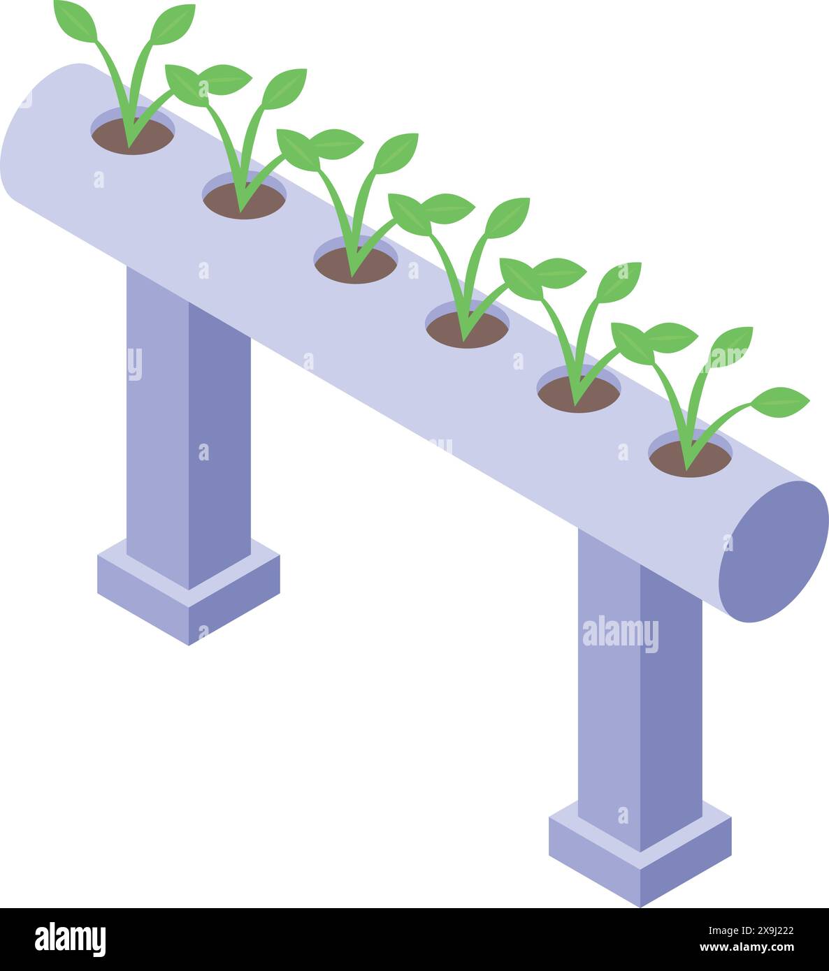 Graphic isometric illustration of a hydroponic farming system with ...