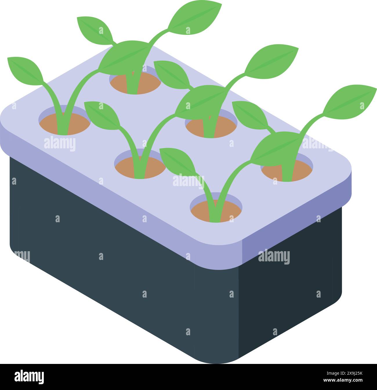 Vector illustration of a seedling tray with young green plants ...