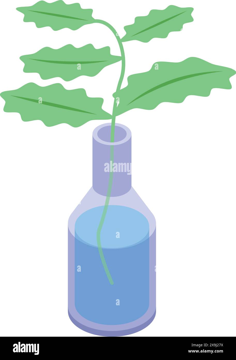 Vector illustration of a green isometric plant growing in a waterfilled ...