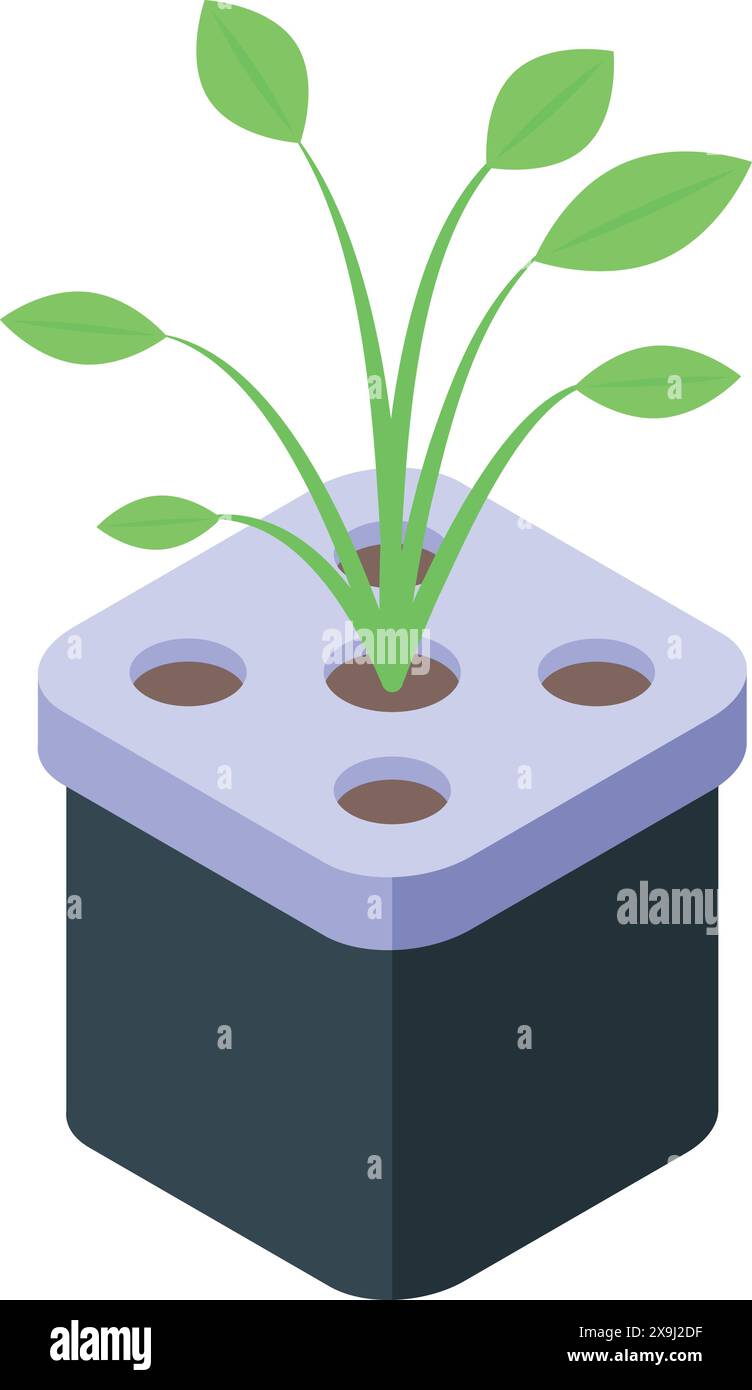 Isometric hydroponic plant illustration with vector graphic technology ...