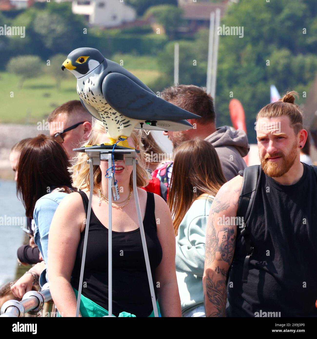 UK Weather: Crowds admire new Predator-style robot bird 'peregrinator ...