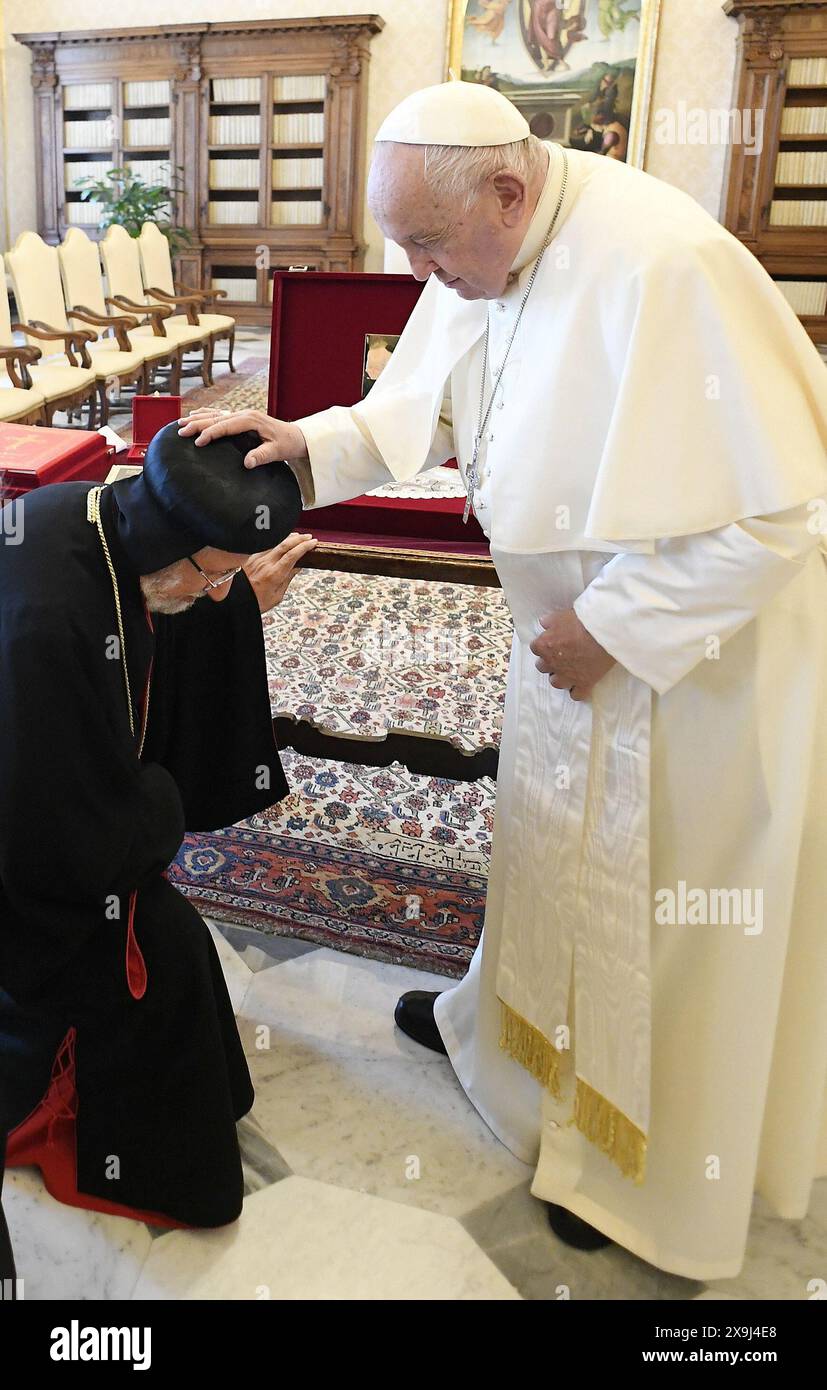 Pope Francis meets Metropolitan bishop Filuksinos Yusuf Cetin ...