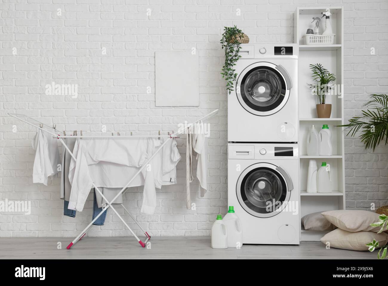 Interior of laundry room with washing machines, houseplants and clean ...