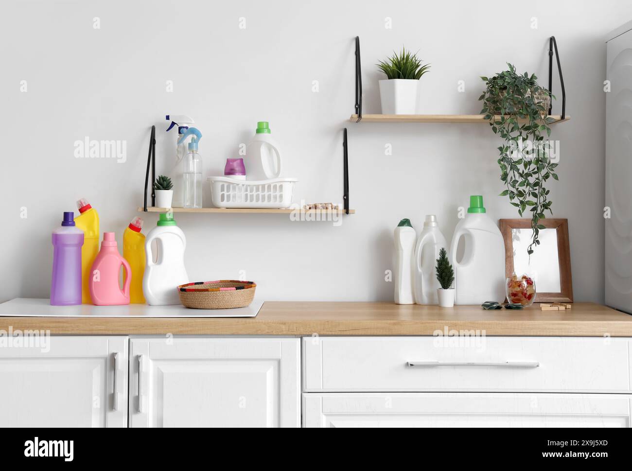Wooden counter with bottles of detergent and houseplants in laundry ...