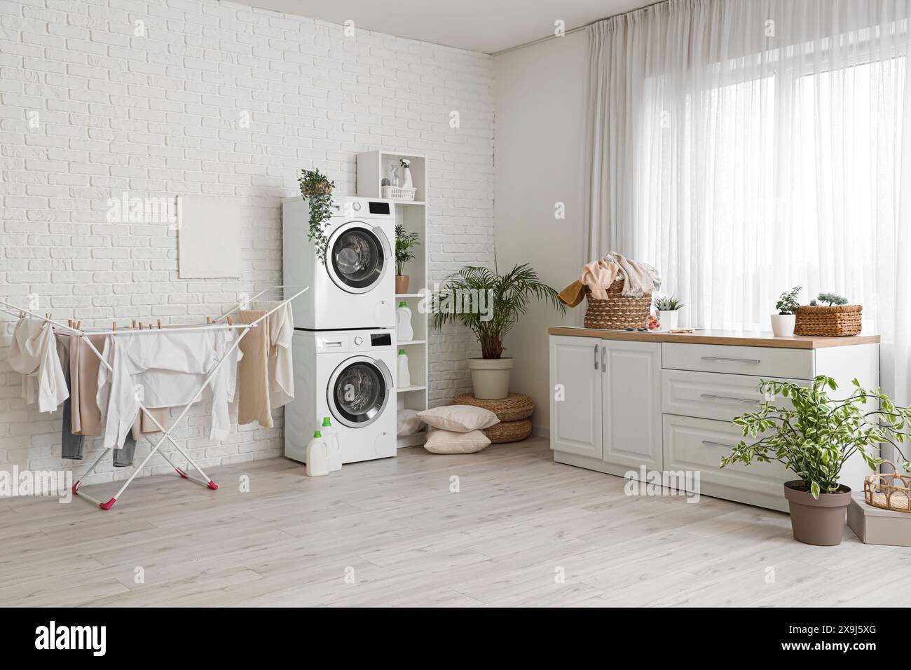 Interior of laundry room with washing machines, houseplants and clean ...