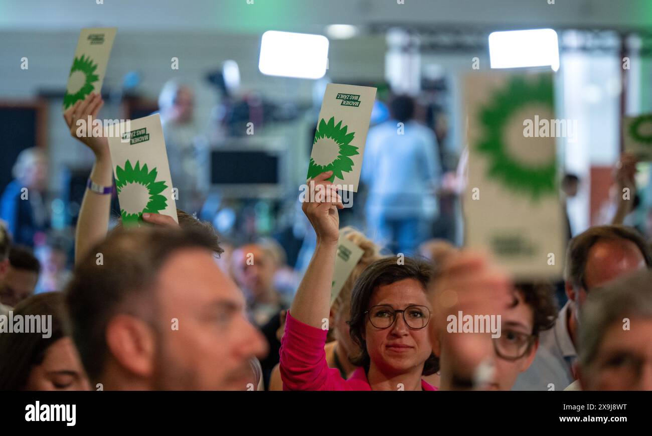 01 June 2024, Brandenburg, Potsdam: Delegates hold up their ballot ...