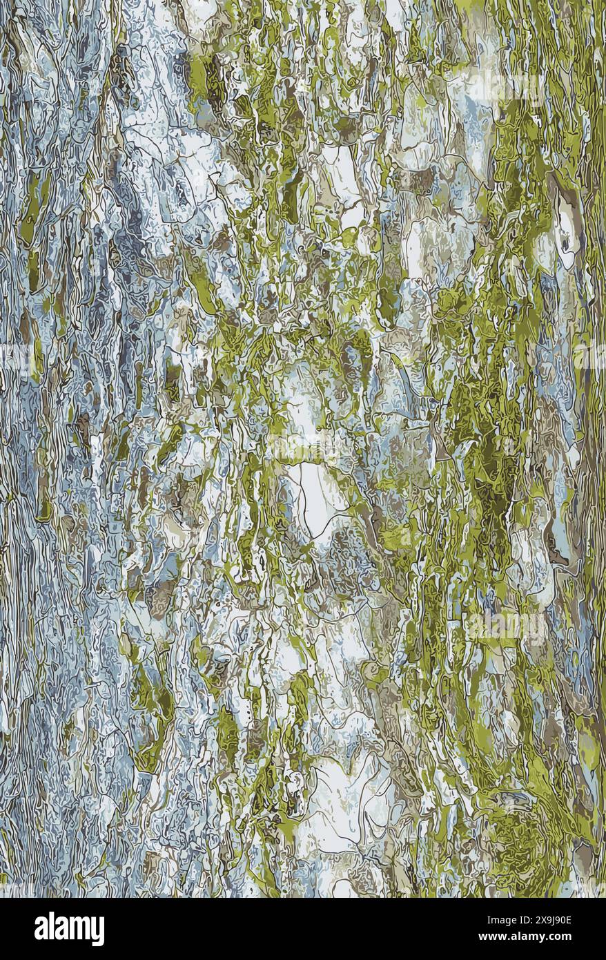 Pinus nigra illustration Stock Vector Images - Alamy