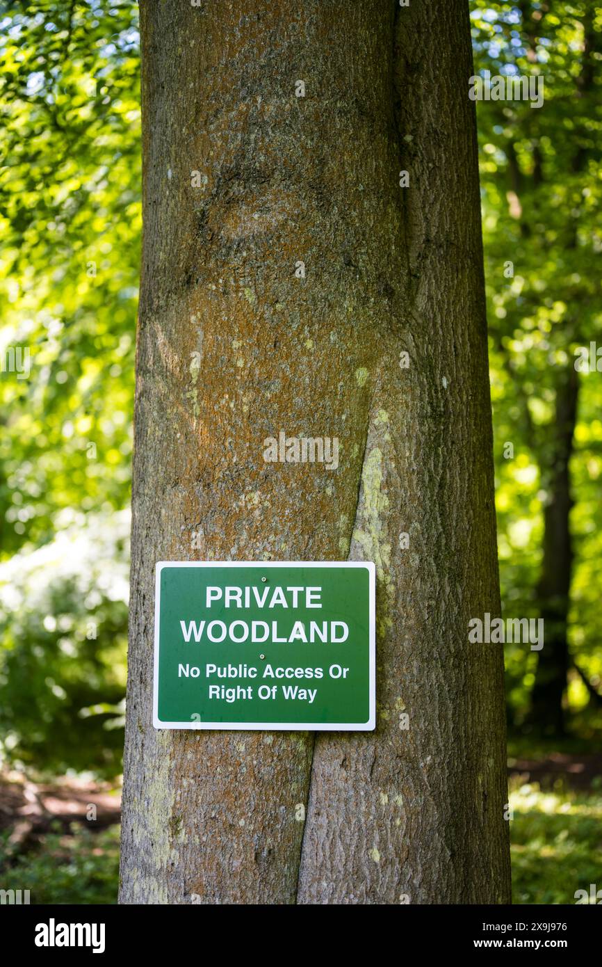 Private Woodland, Flowercroft Wood, nr Sonning Common/Henley-on-Thames ...