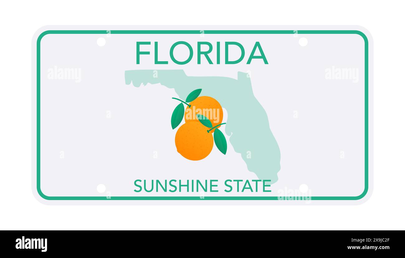 License plate of Florida. Car number plate. Vector stock illustration ...