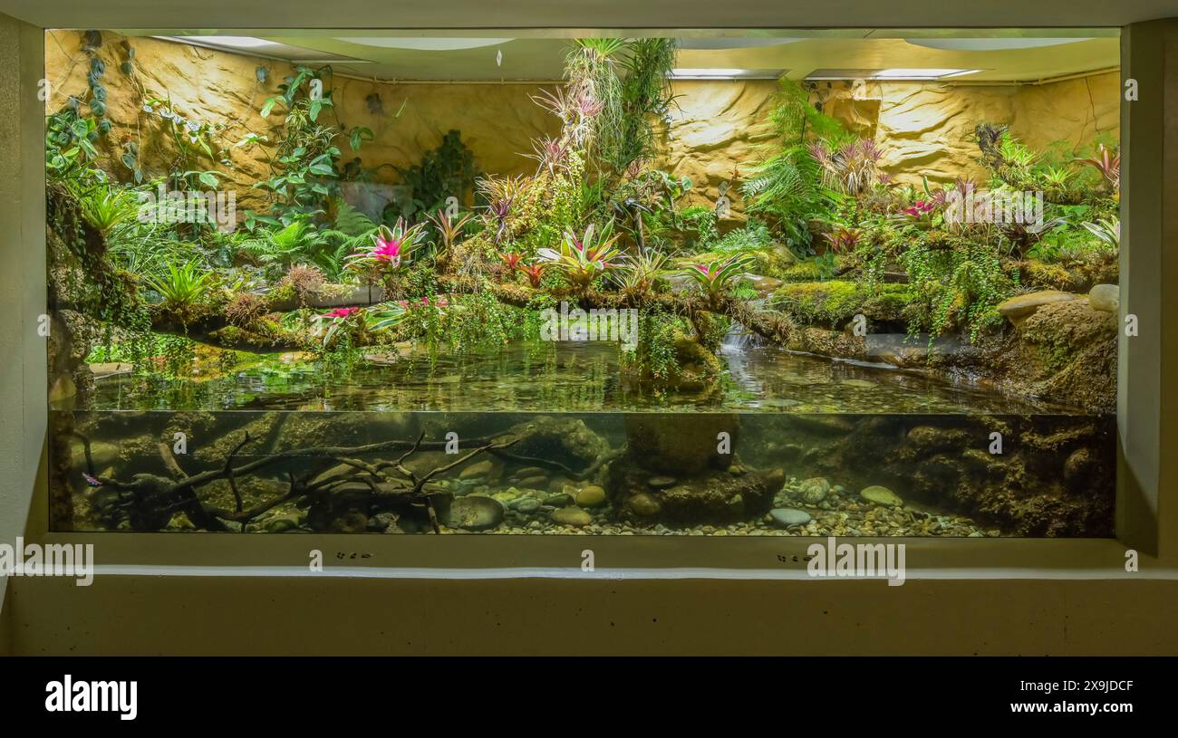 Terrarium, Zoo, Binningerstraße, Basel, Schweiz Stock Photo - Alamy