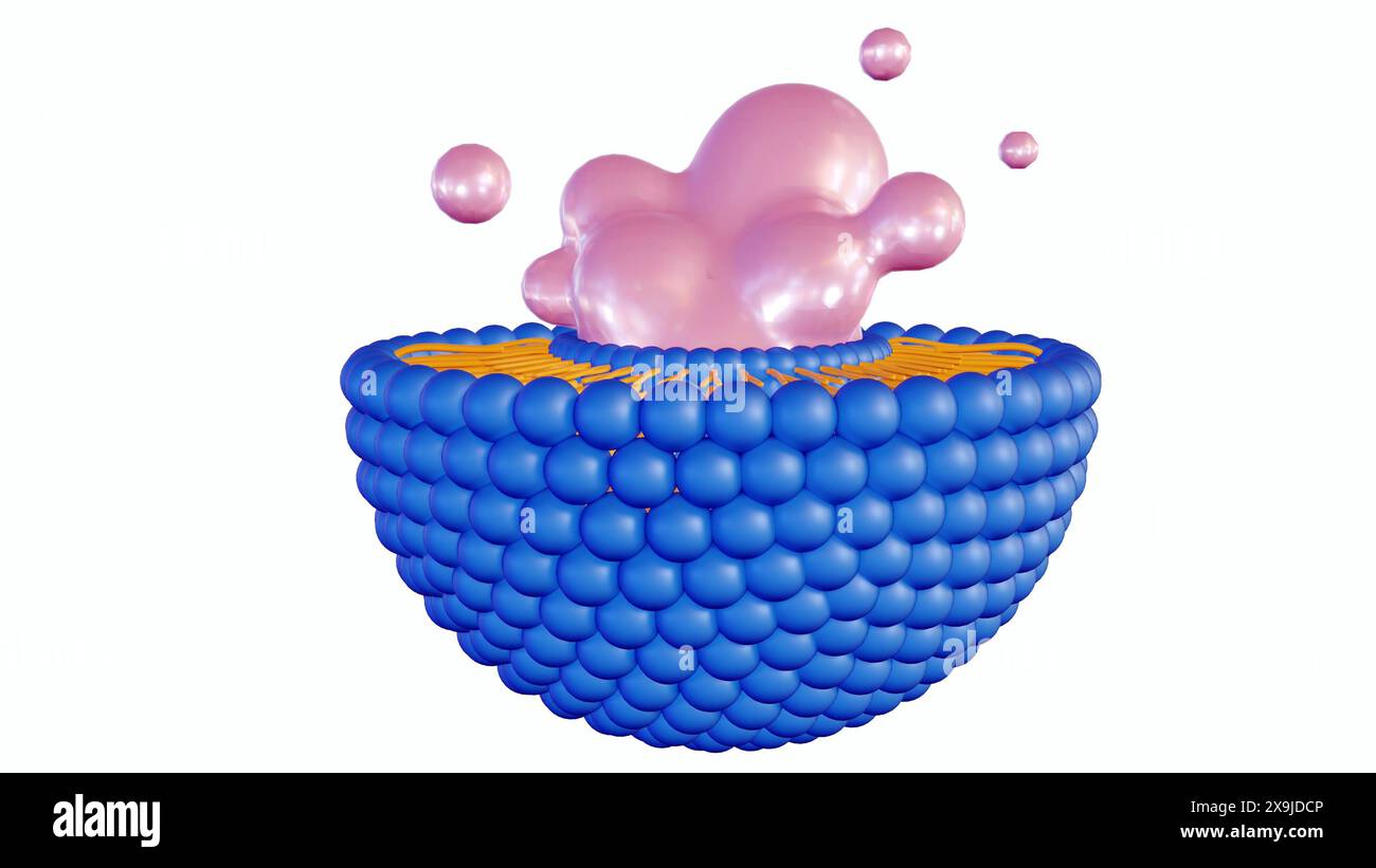 3d rendering of compromised liposome releasing its contents. Magnified ...