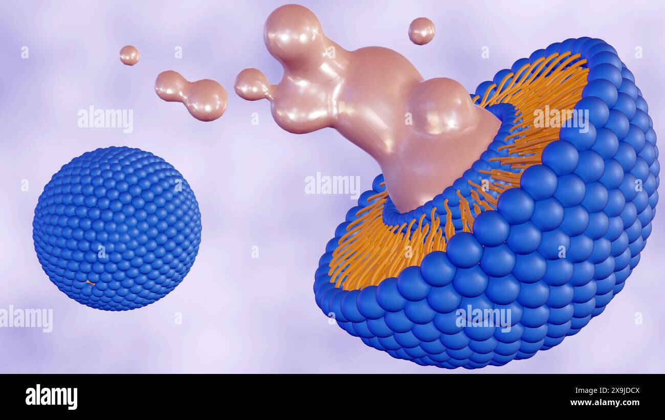 3d rendering of compromised liposome releasing its contents. Magnified ...