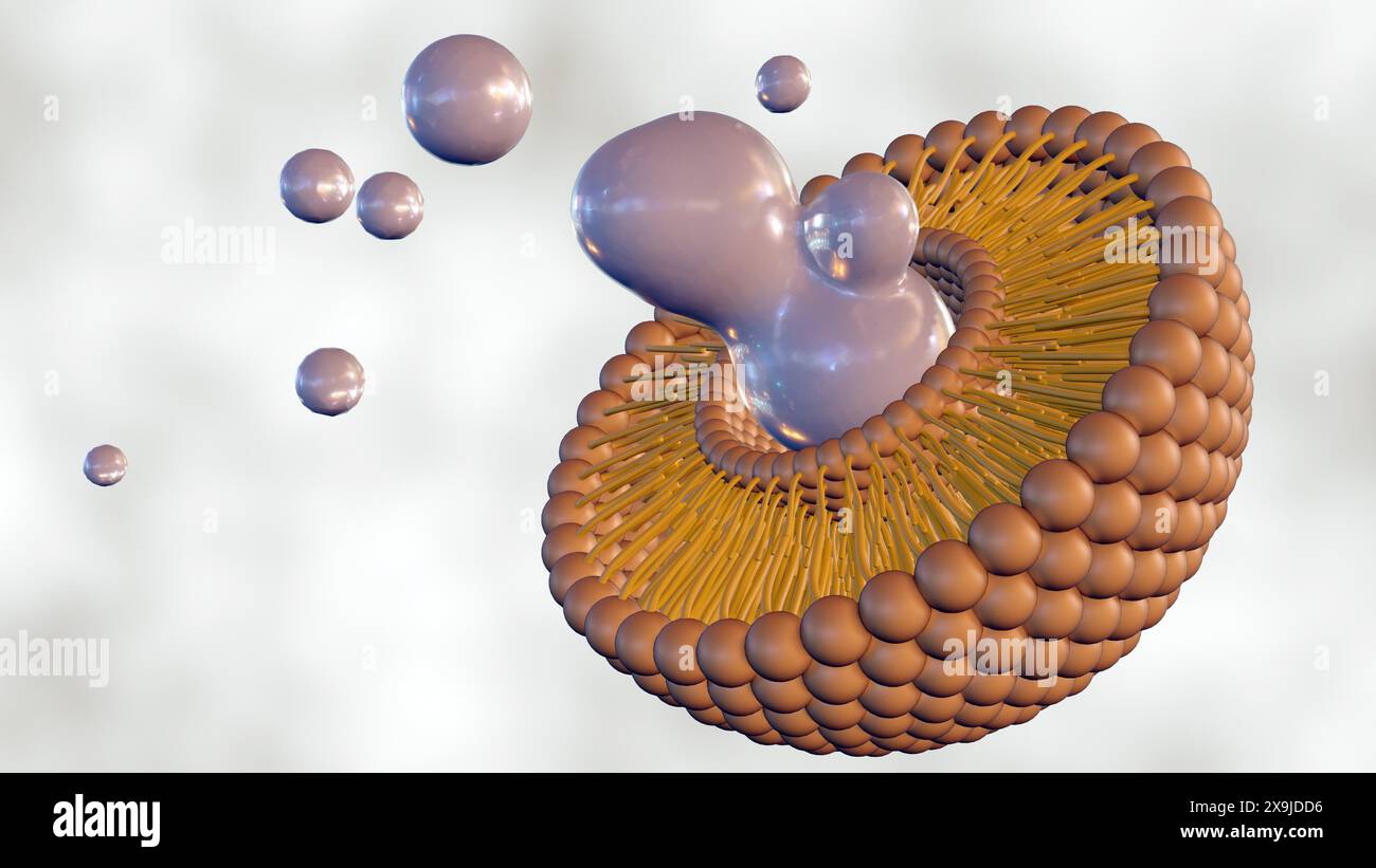 3d rendering of compromised liposome releasing its contents. Magnified ...