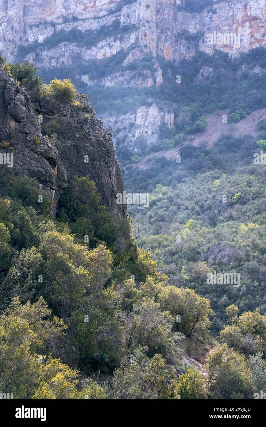 Mountainside Forest View at Congost de Mu Gorge, Catalonia Stock Photo ...