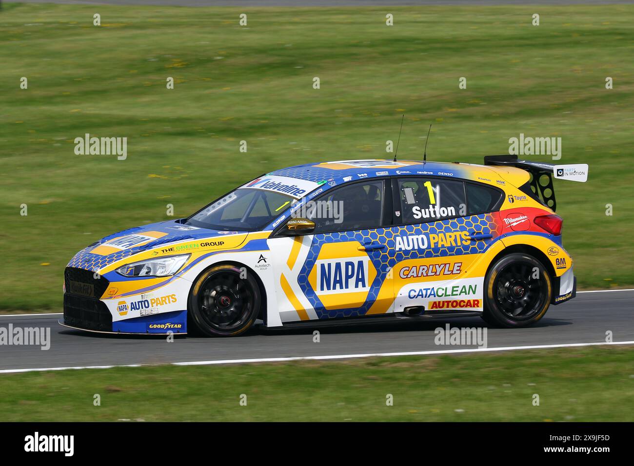 Ashley Sutton - Napa Racing UK - driving Ford Focus ST number 1 in the ...