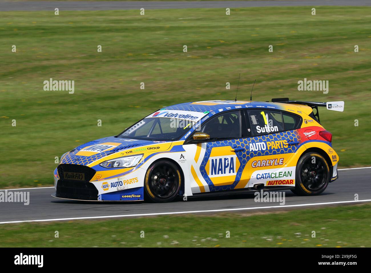 Ashley Sutton - Napa Racing UK - driving Ford Focus ST number 1 in the ...