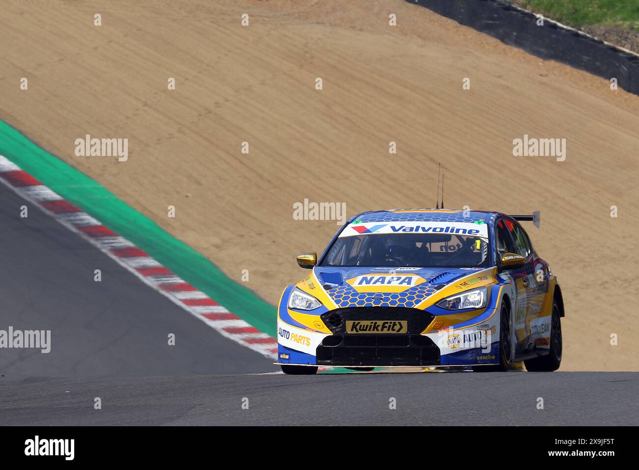 Ashley Sutton - Napa Racing UK - driving Ford Focus ST number 1 in the 2024 Kwik Fit BTCC at ...