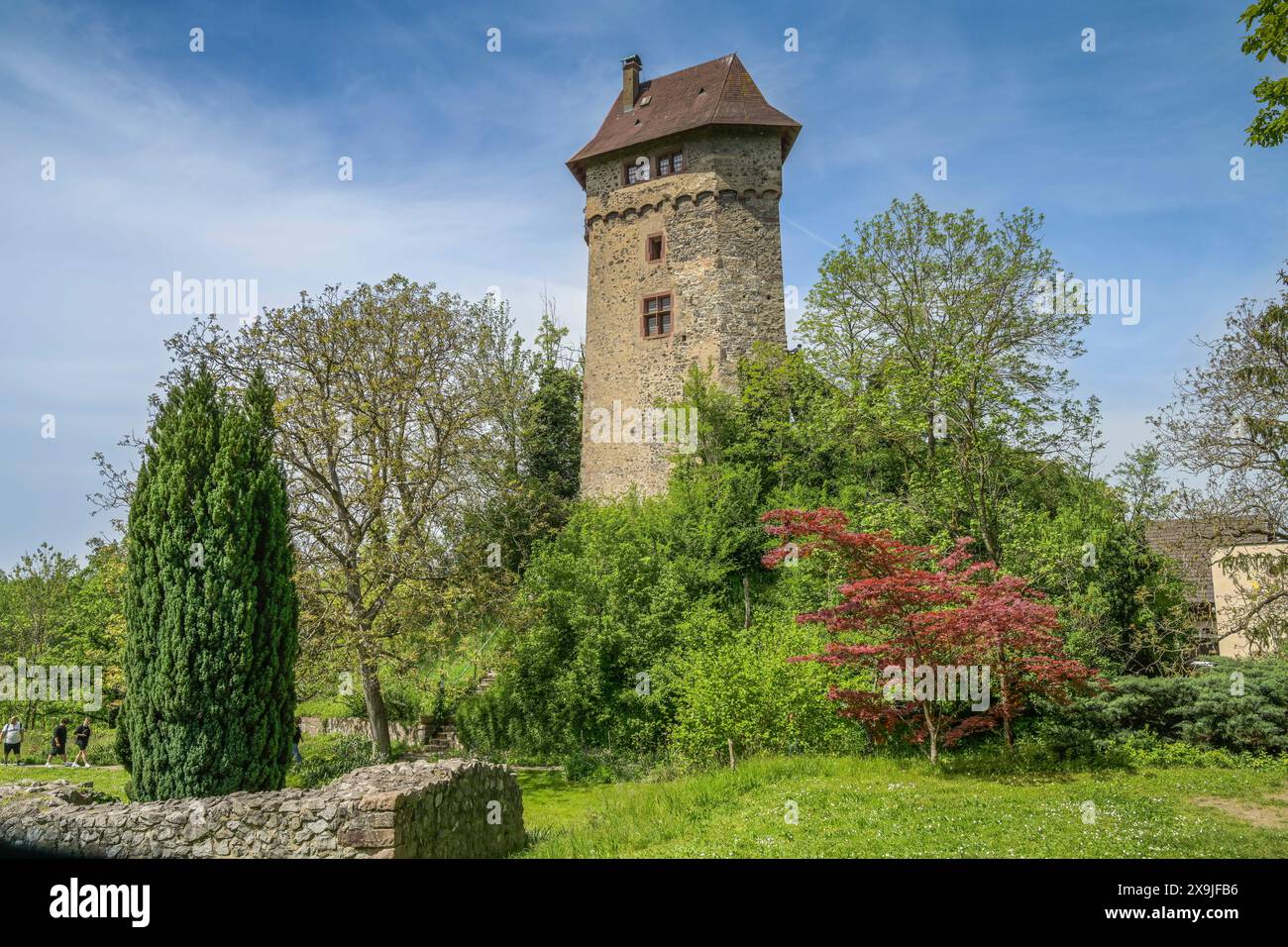 Sasbach am kaiserstuhl hi-res stock photography and images - Alamy