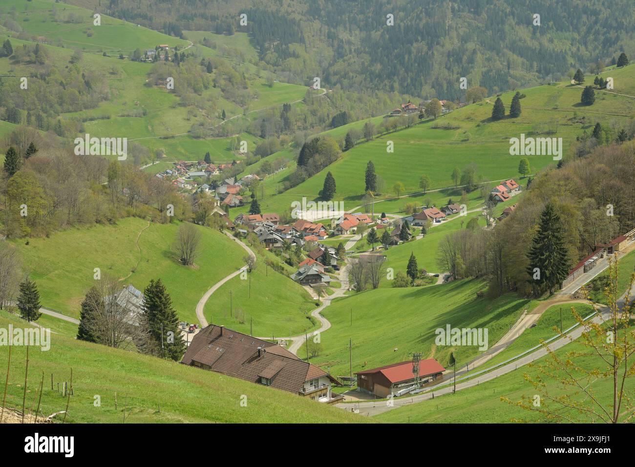 Wieden wald hi-res stock photography and images - Alamy