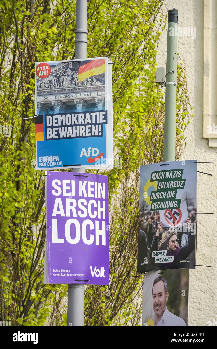 Volt, AfD, Die Grünen, Wahlplakate zur Europawahl 2024, Berlin ...