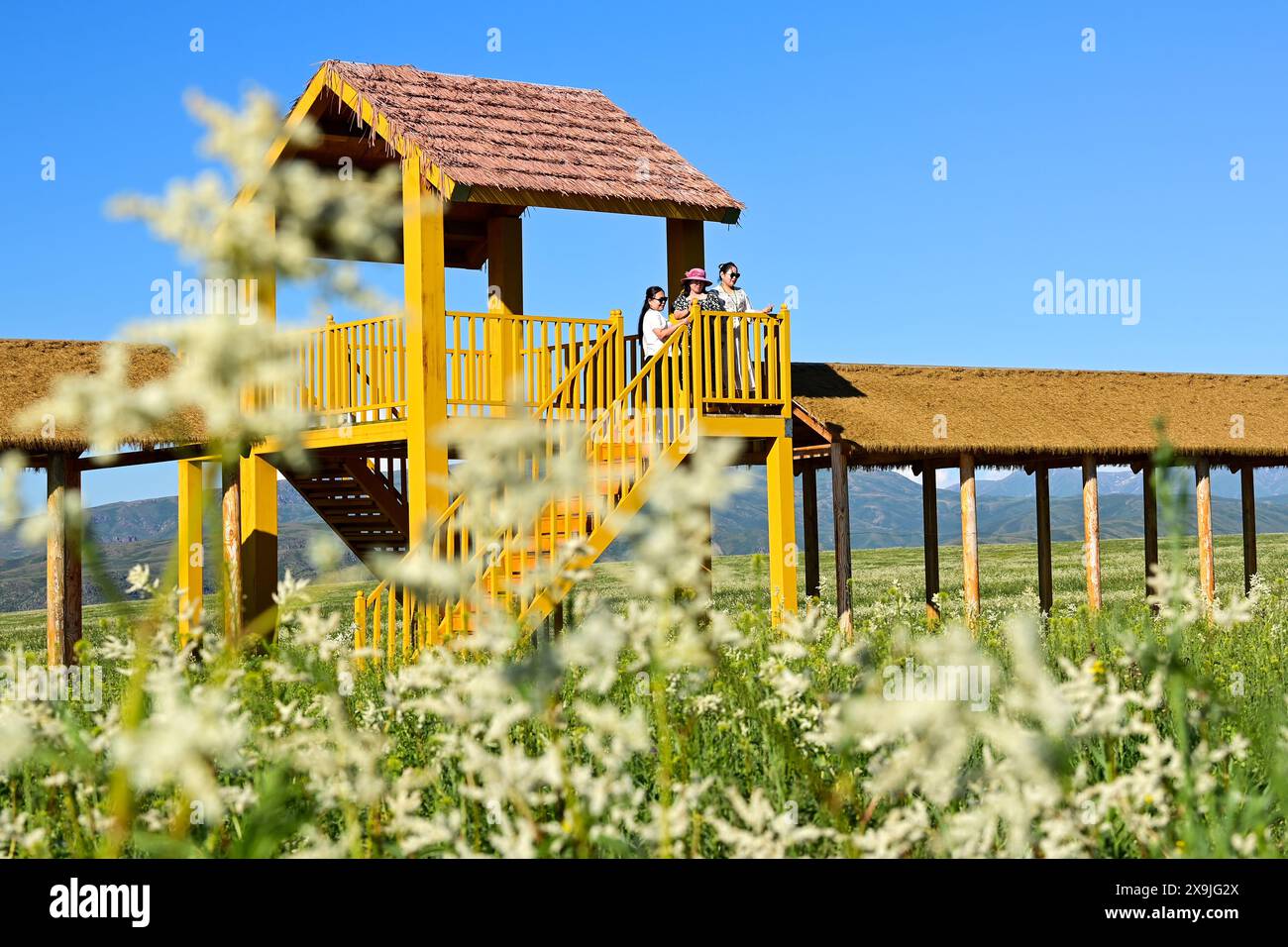 (240601) -- EMIN, June 1, 2024 (Xinhua) -- Tourists visit a grassland ...