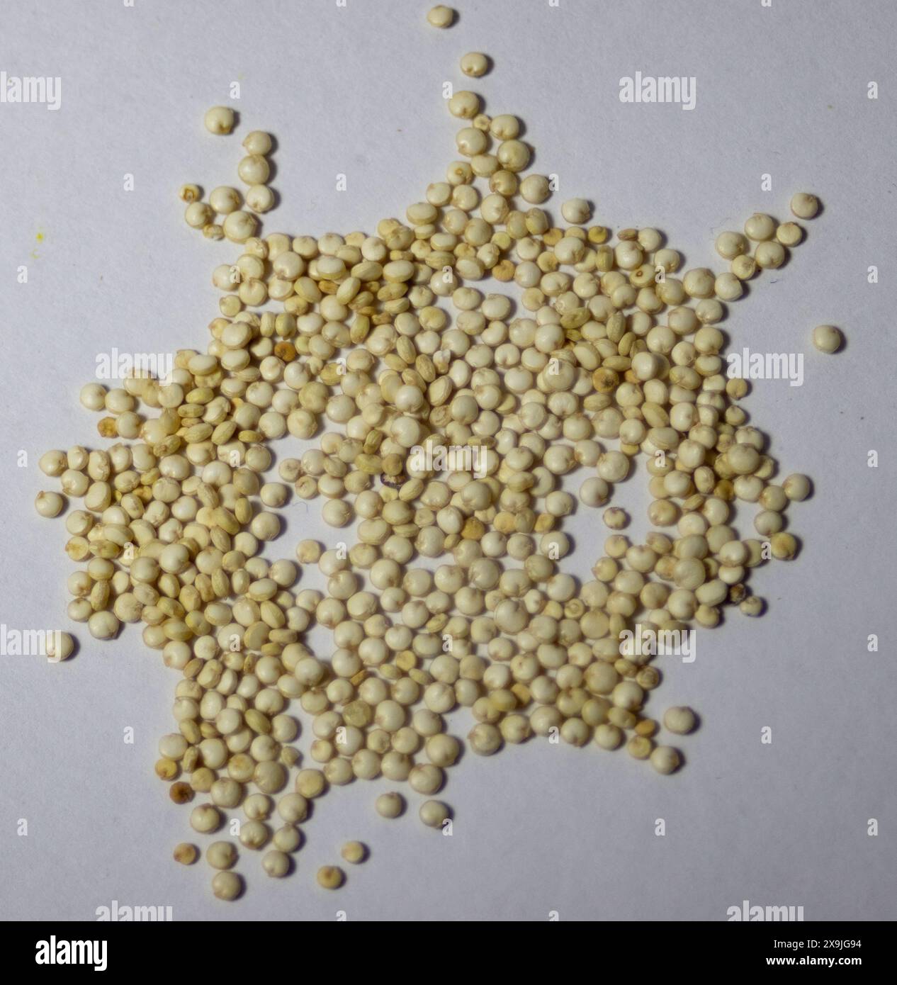 Quinoa grains, isolated, scattered on white background.Healthy food ...