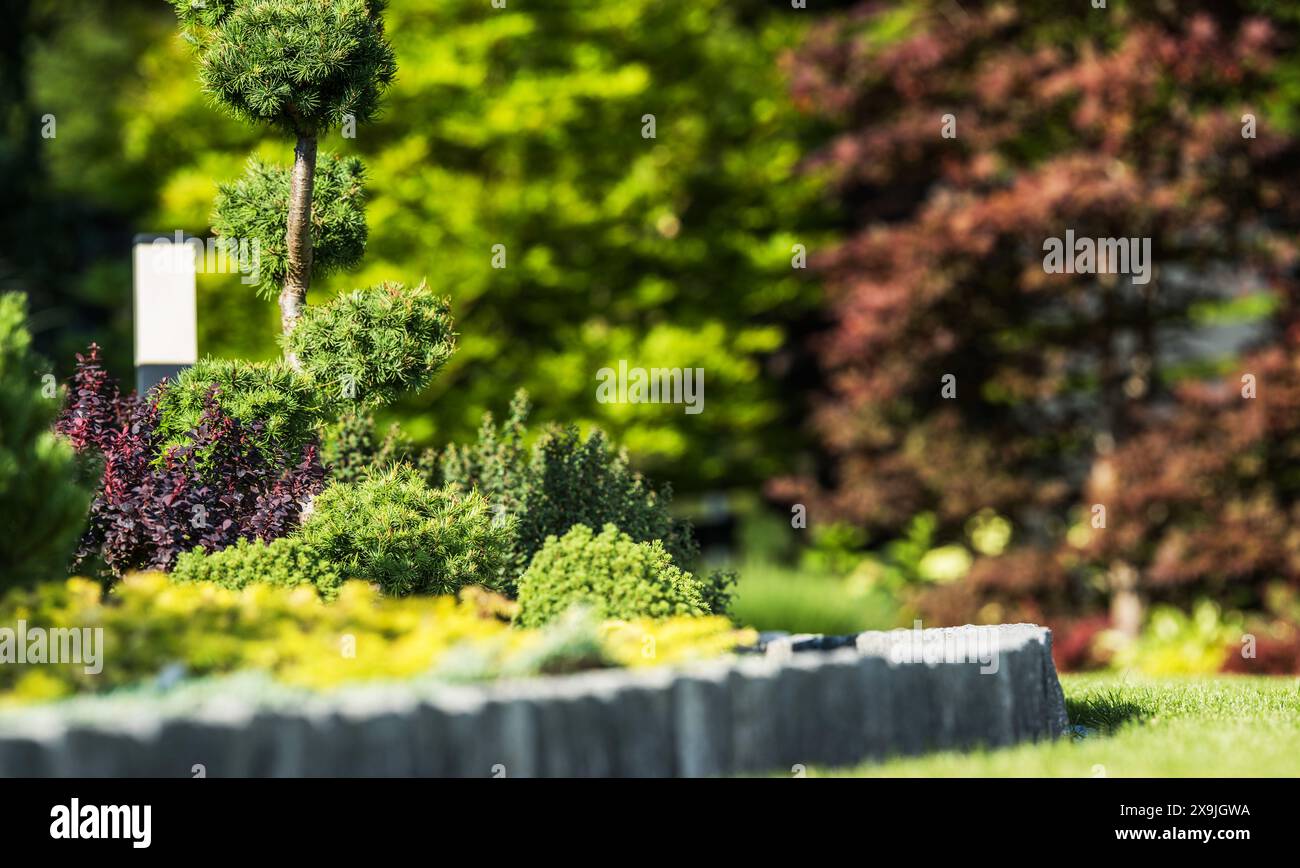 Lush Garden With Evergreen Trees and Stone Border Stock Photo - Alamy