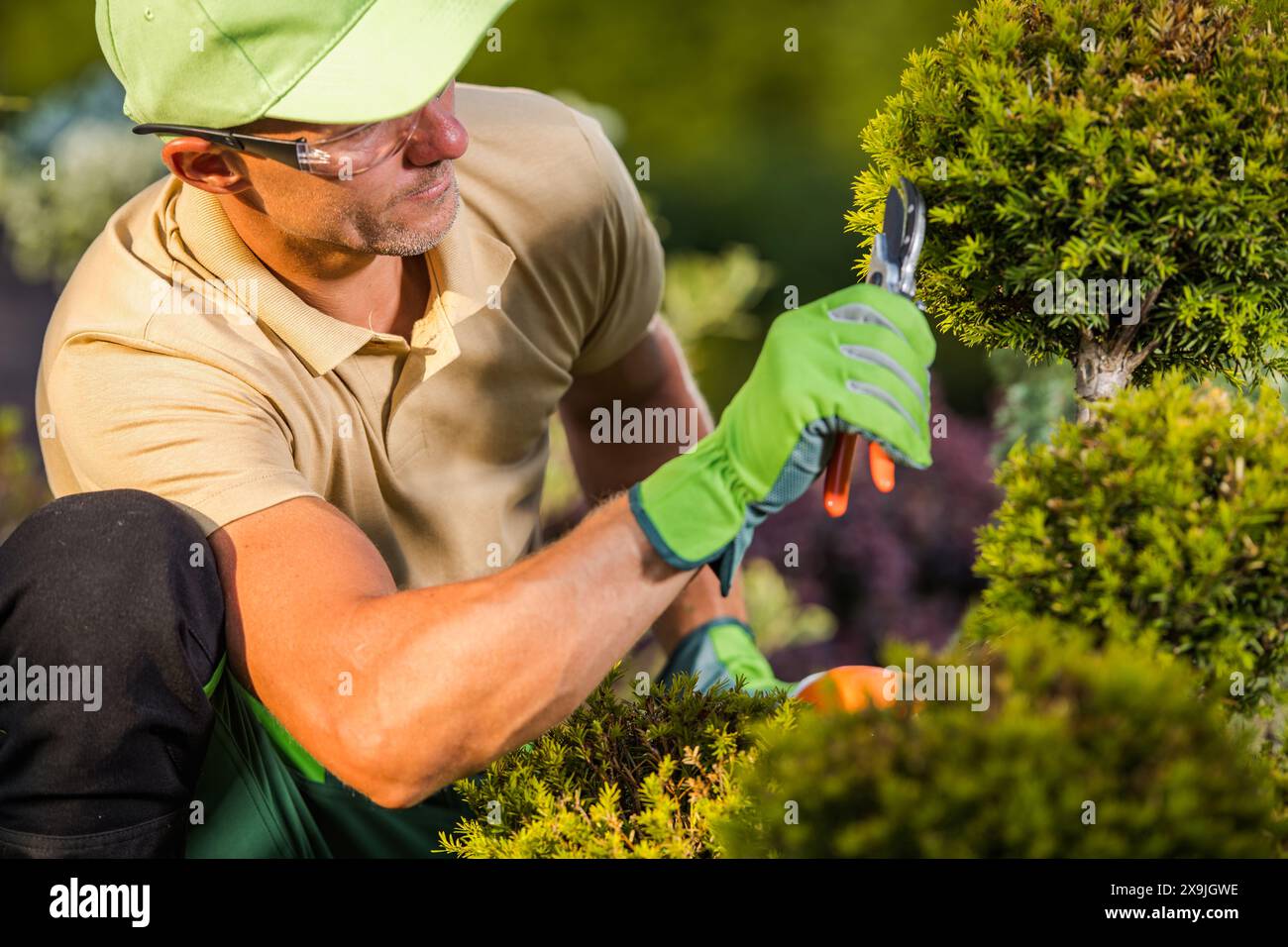Man trimming shrubs in hi-res stock photography and images - Alamy