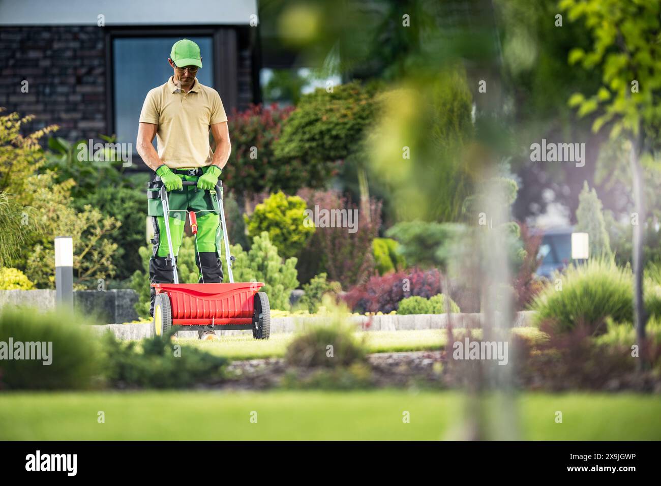 Landscaper Spreading Fertilizer on Lawn Stock Photo - Alamy