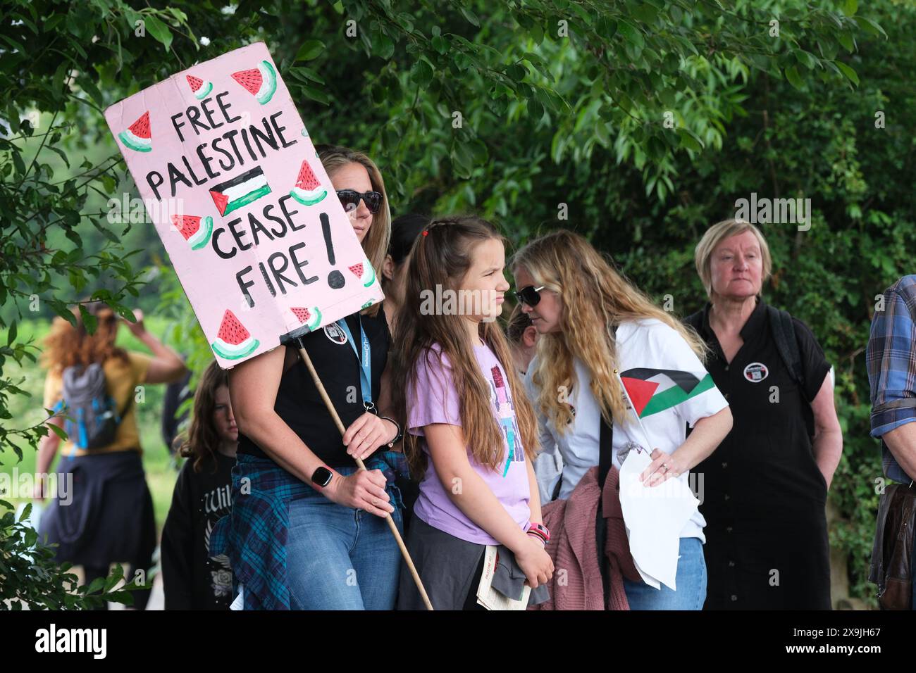 Pro palestine flags hi-res stock photography and images - Alamy
