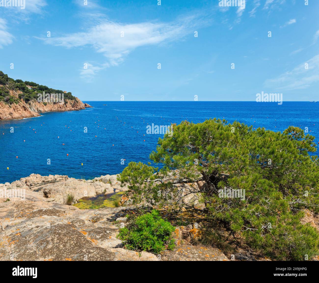 Tamariu bay summer coast view with pine tree hi-res stock photography ...