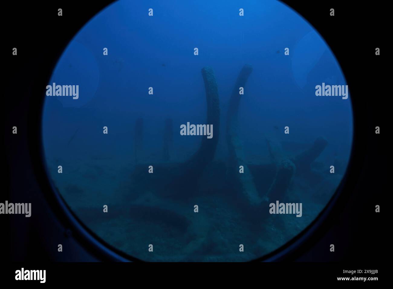 View from viewing portal onyellow submarine golden shark in Puerto de ...