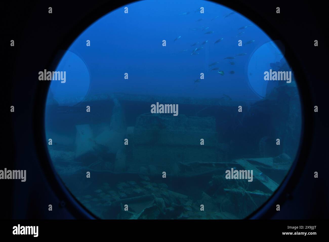 View from viewing portal on yellow submarine golden shark in Puerto de ...