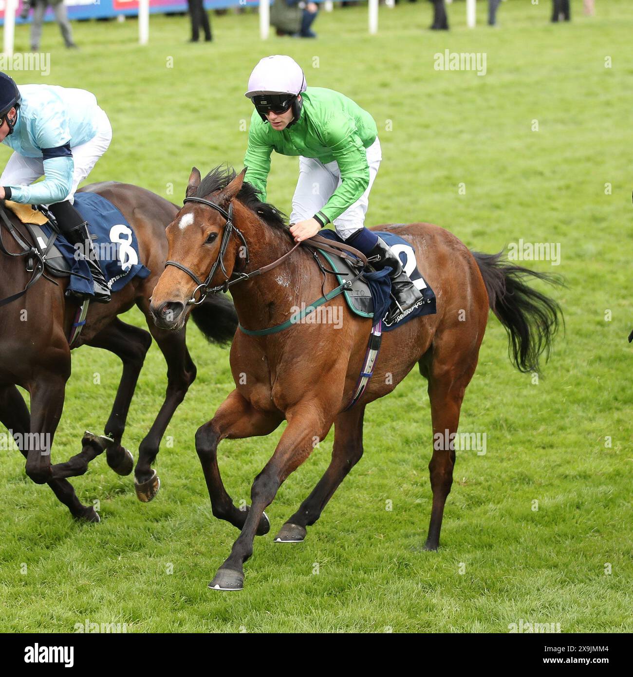 Wins princess elizabeth stakes epsom racecourse hi-res stock ...