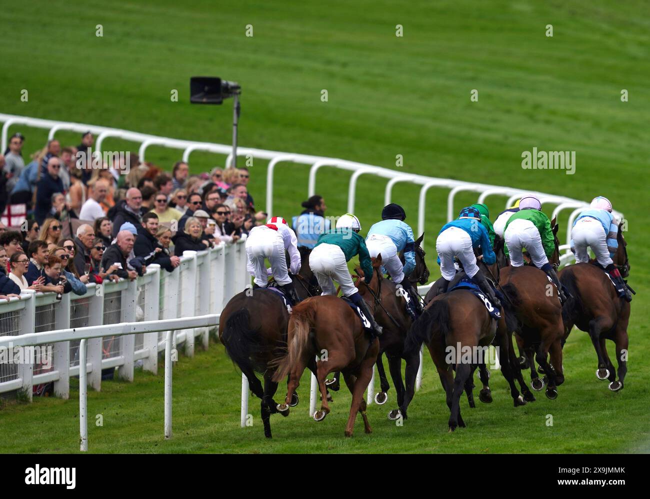Runners and riders in the Princess Elizabeth Stakes on derby day of The ...