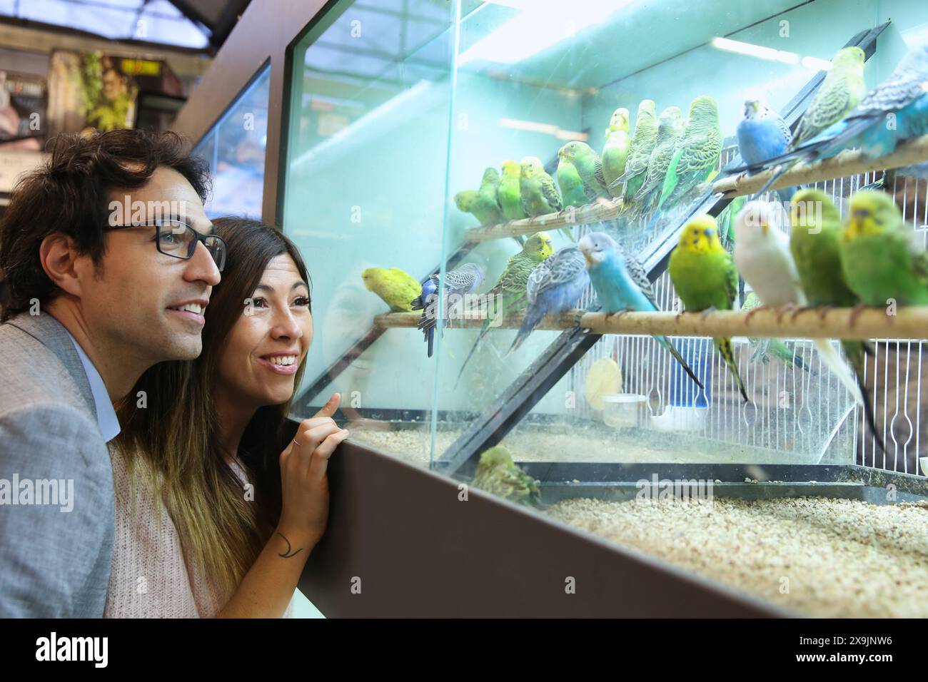 Couple buying birds, garden center Stock Photo - Alamy