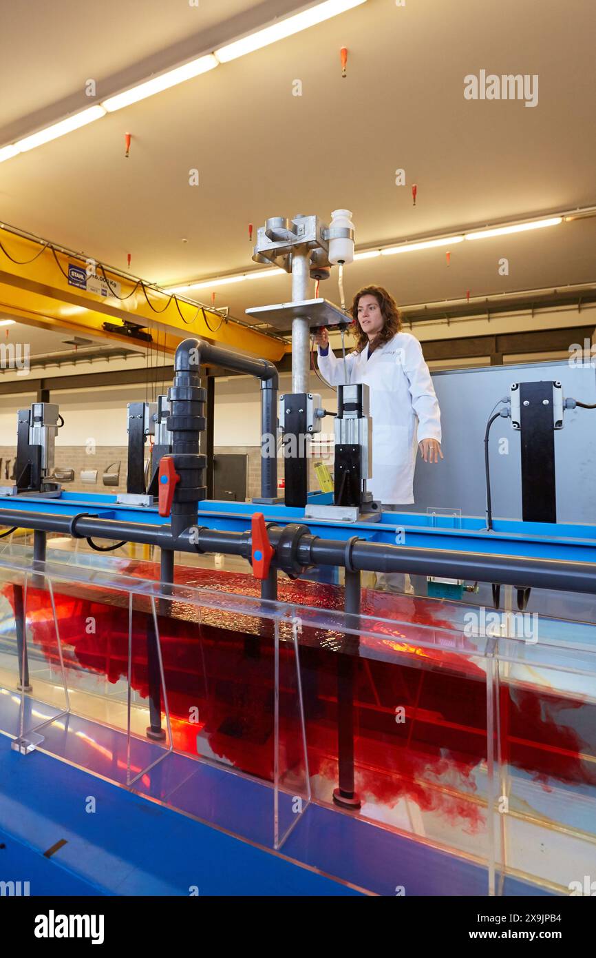 ARTESA water model Scale model to measure fluid through software CFD ...