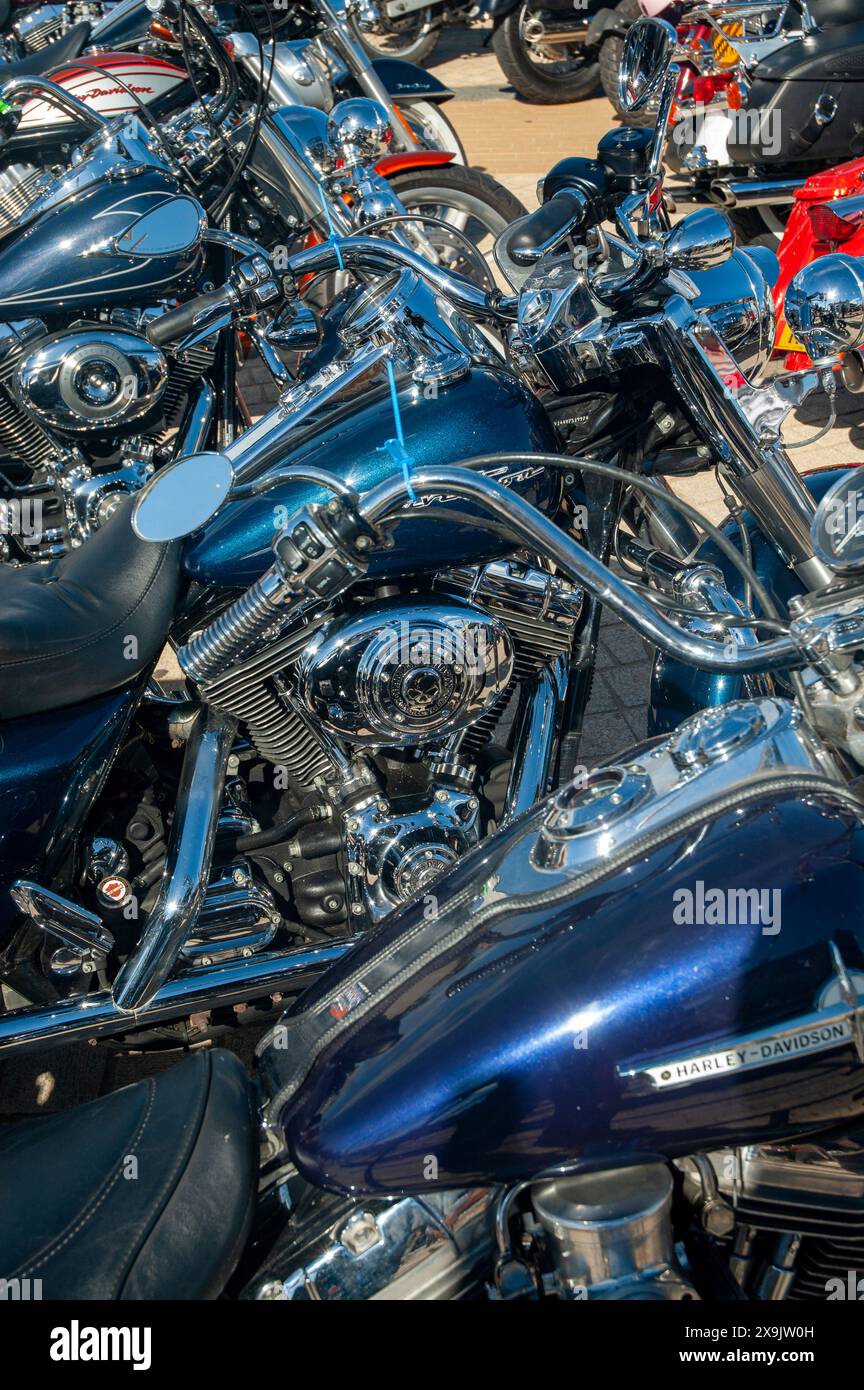 Harley Davidson motorcycles Stock Photo - Alamy