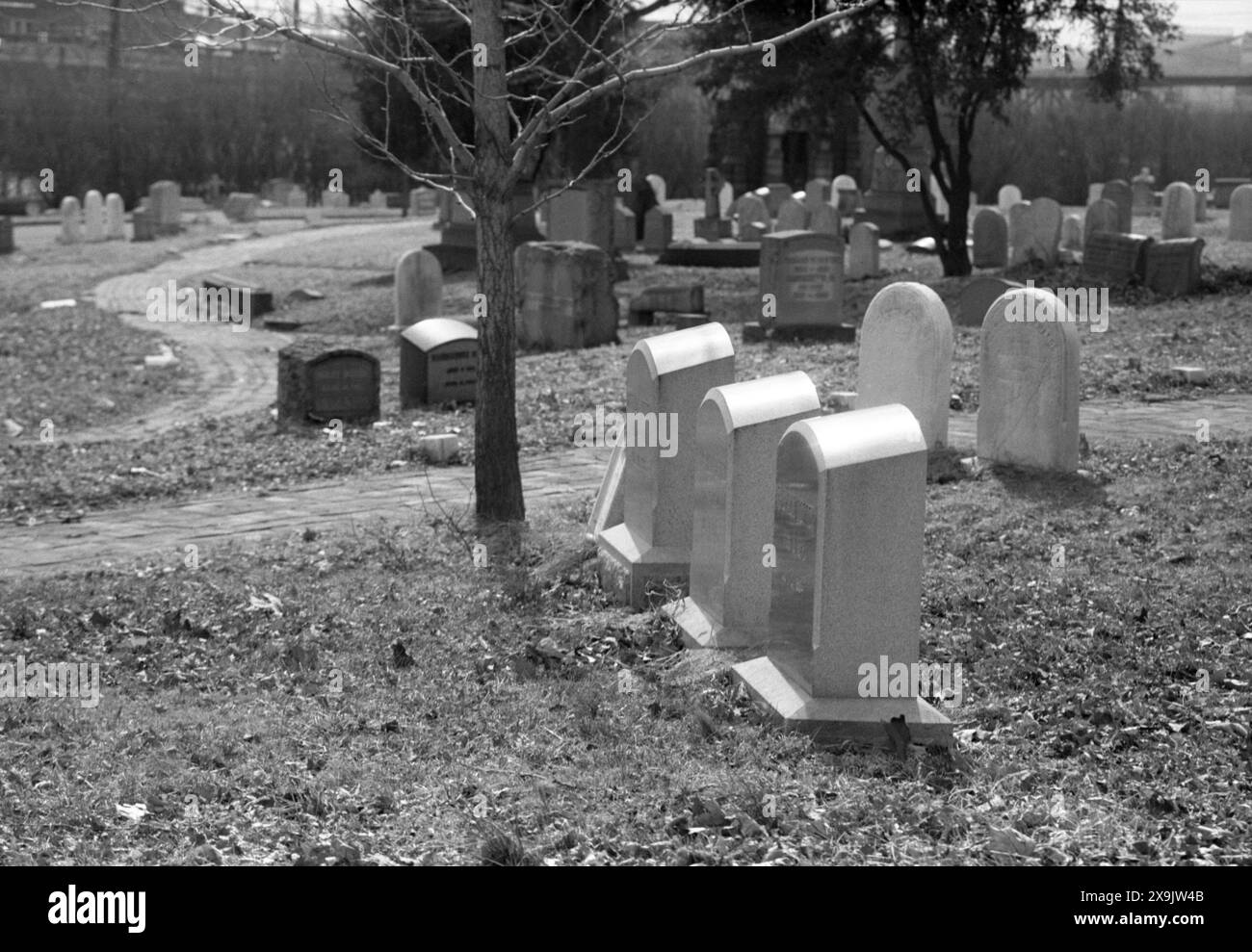 Cemetery in Philadelphia, USA, 1977 Stock Photo - Alamy