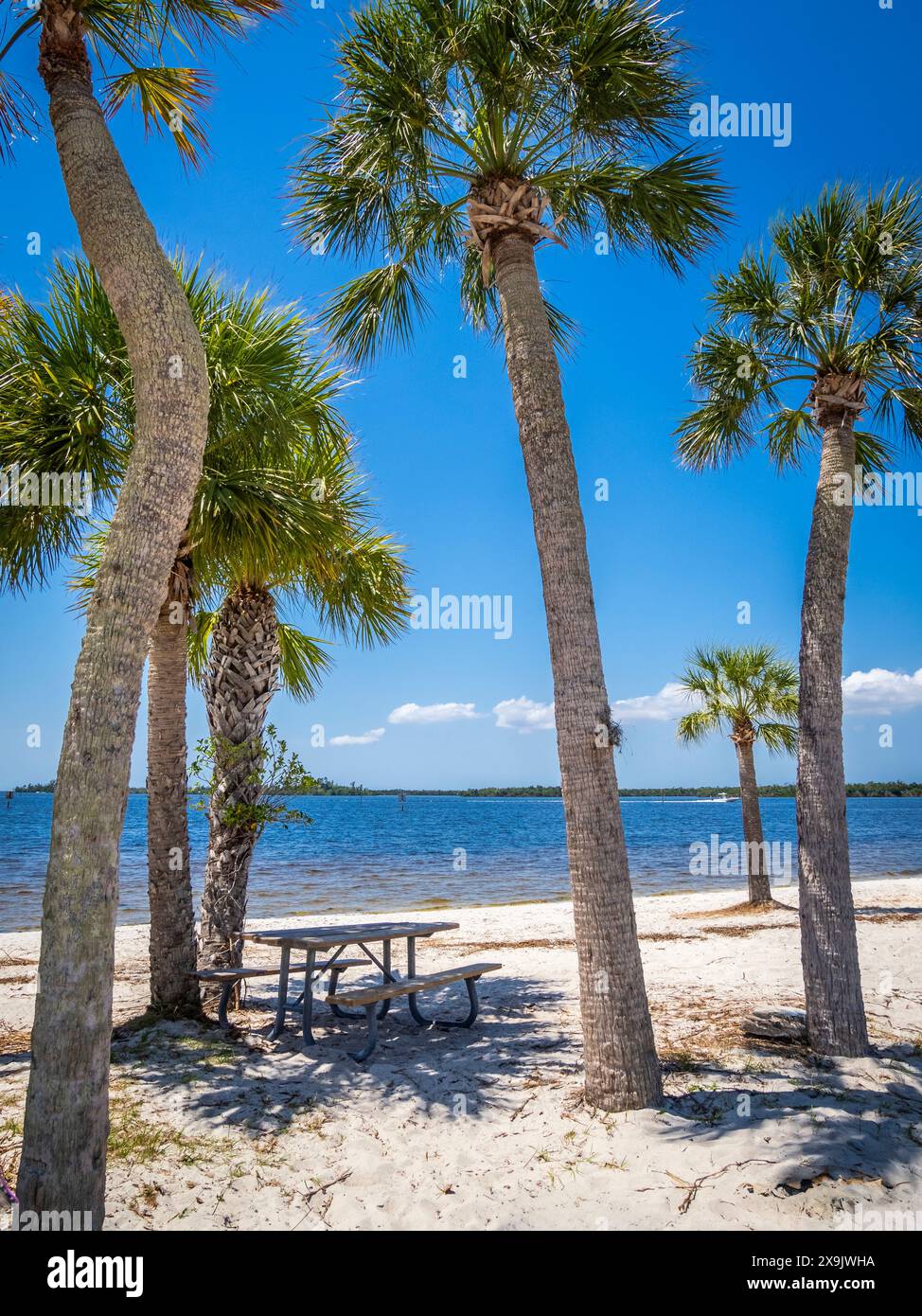 Beach at Port Charlotte Beach Park in Port Charlotte Florida USA Stock ... Beach at Port Charlotte Beach Park in Port Charlotte Florida USA Stock ...