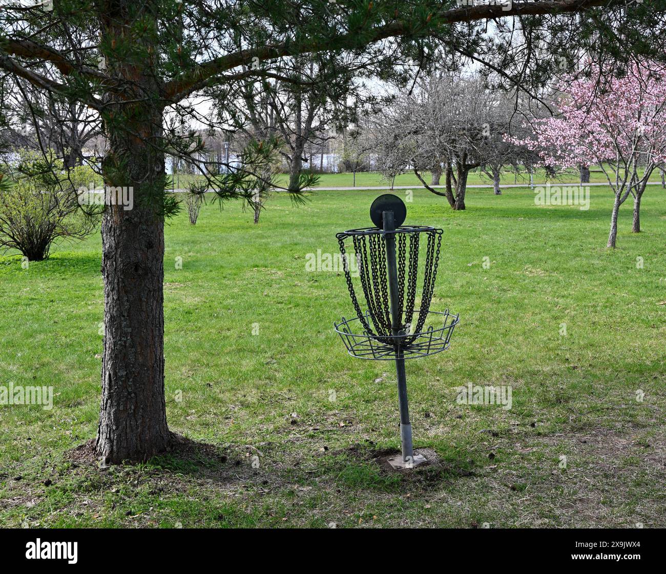 Recreational park scene hi-res stock photography and images - Alamy