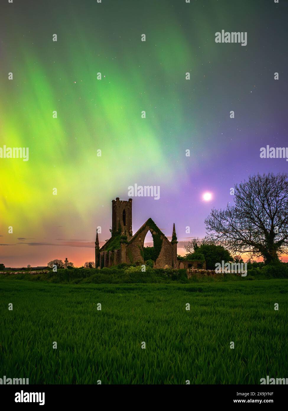 The auroral oval over Ballynafagh Church during the biggest aurora ...