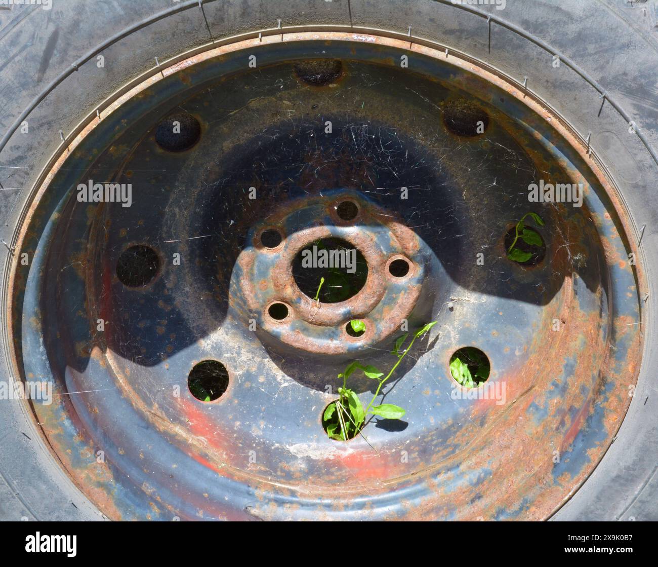 Old rusted car tire illuminated by sun Stock Photo - Alamy
