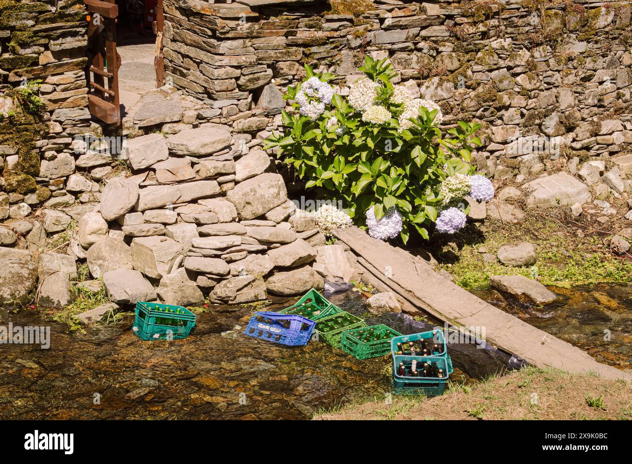 Rustic tranquility: Stonewall, Hydrangeas and cooling drinks in the ...