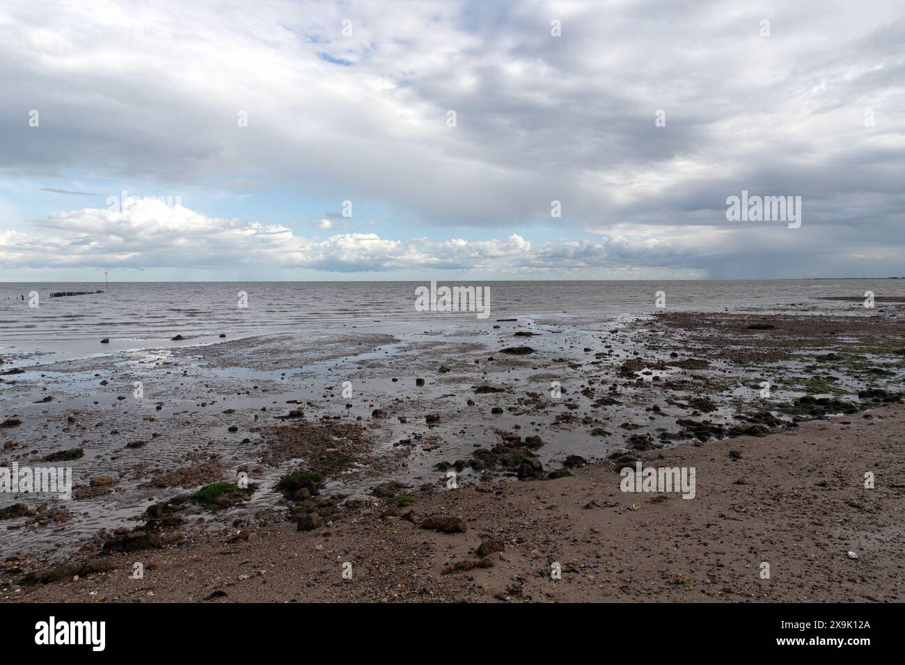 The southern coast of East Mersea, Mersea Island, Essex Stock Photo - Alamy